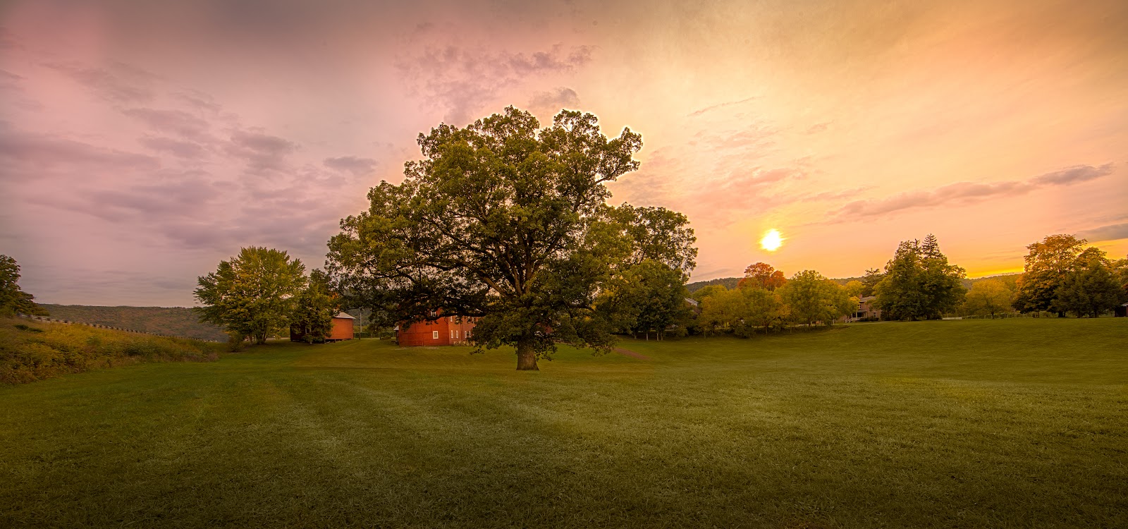 Grovedale Winery & Vineyards - Wedding Venue | VowVenue.com