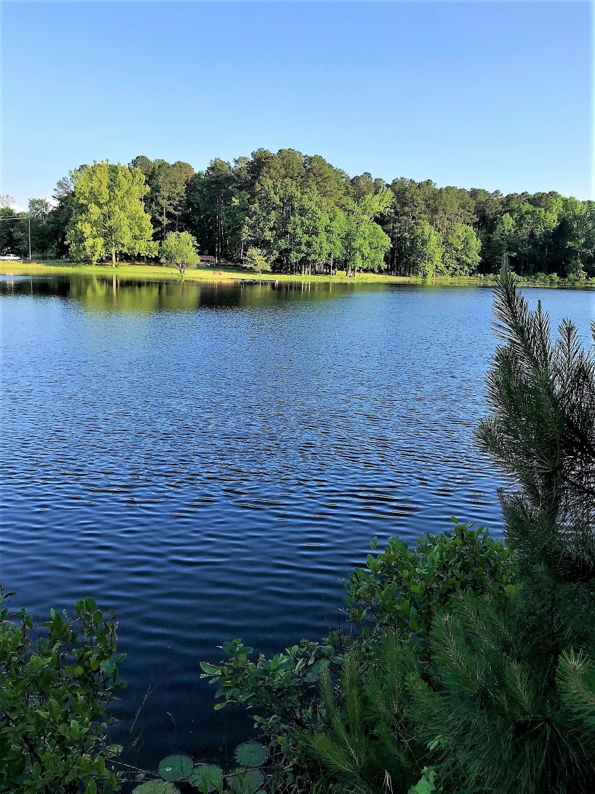 Mockingbird Lake Venue - Wedding Venue | VowVenue.com