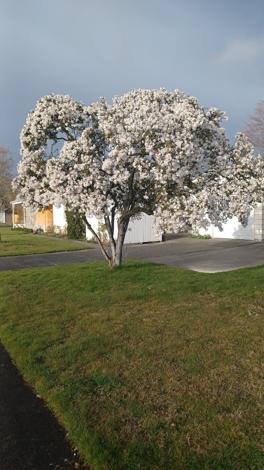 Mount Baker Rotary Building - Wedding Venue | VowVenue.com