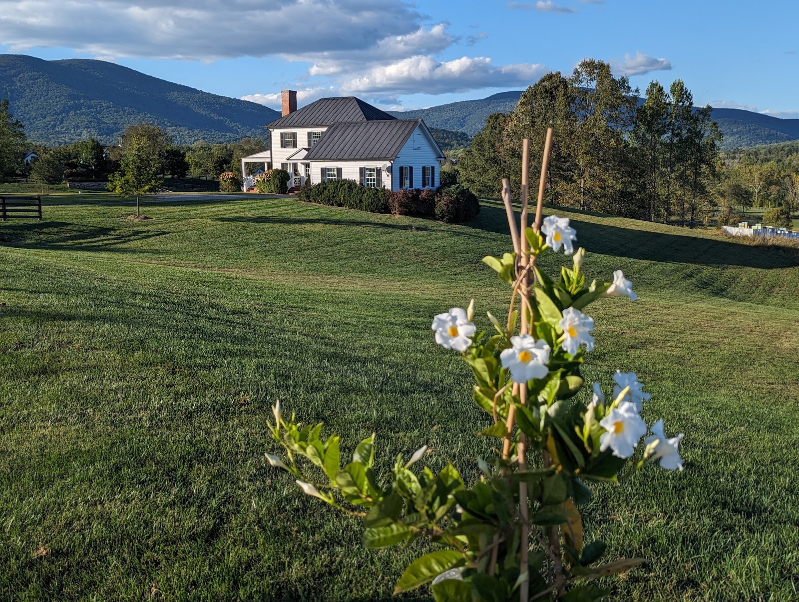 Mount Fair Vineyard - Wedding Venue | VowVenue.com