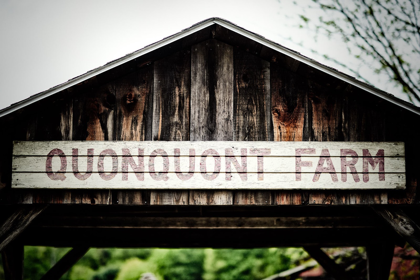 Quonquont Farm - Wedding Venue | VowVenue.com