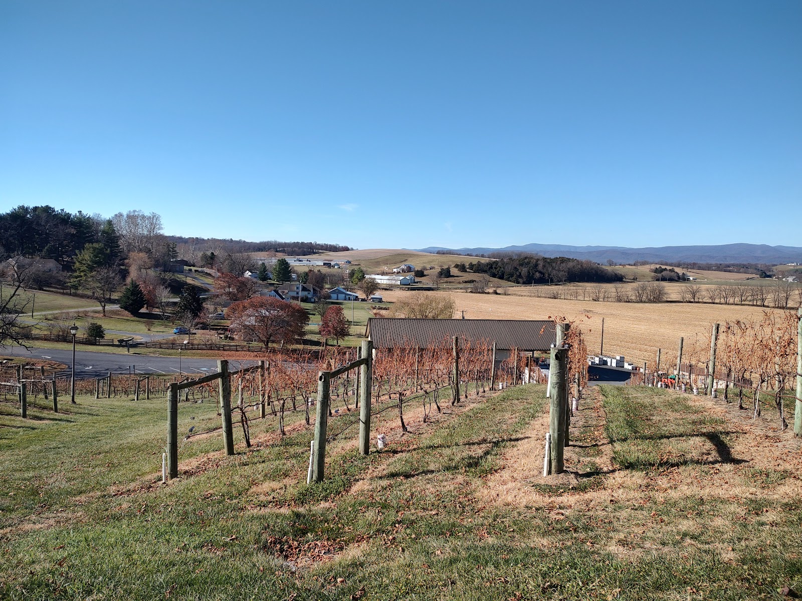 Bluestone Vineyard - Wedding Venue | VowVenue.com