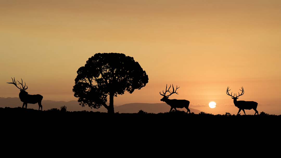 Rustic Falls Vaughn Ranch - Wedding Venue | VowVenue.com